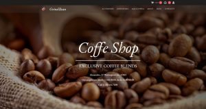 45+ Best Website Templates for Small Business in 2021 | [MB]