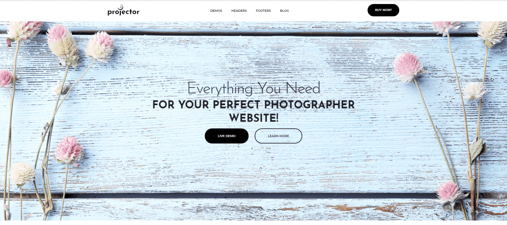 64+ Best Photography Wordpress Themes in 2021. Free and Premium | [MB]