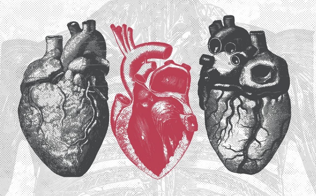 96 Vintage Anatomy Illustrations 2021: Human Anatomy Vectors ...