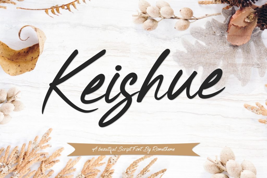 Playful Fonts - Exclusive Font Bundle - 30 Items for $15