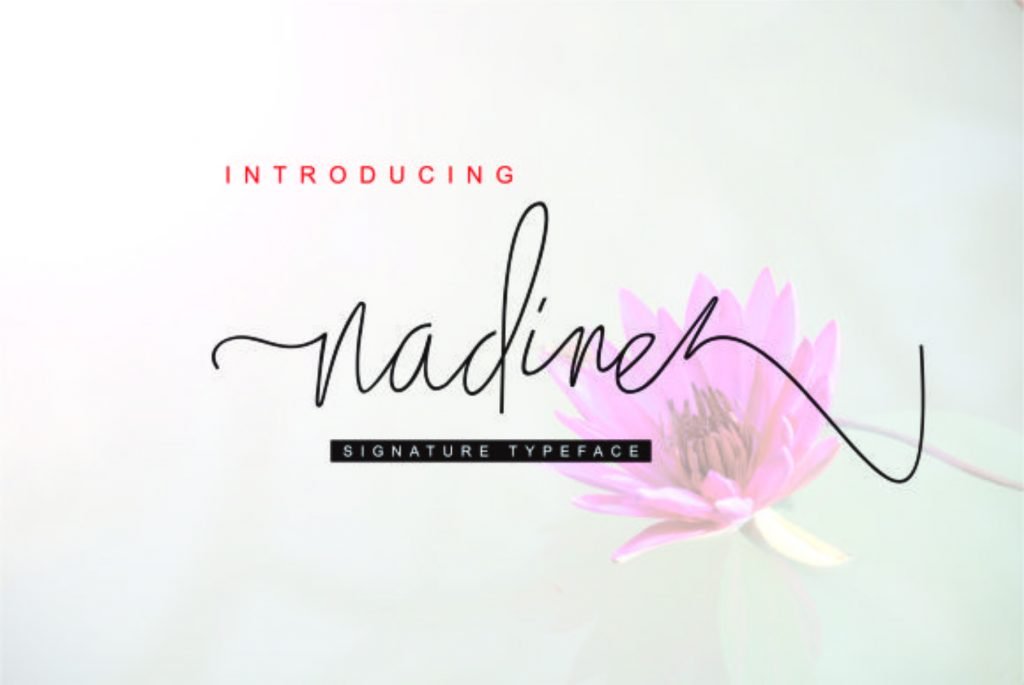 Nadine Portrait Signature Font - $15 – MasterBundles