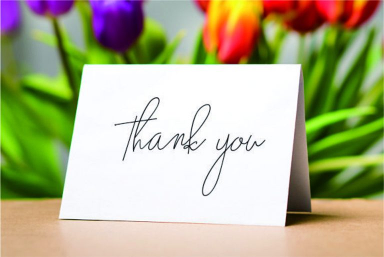 Nadine Portrait Signature Font - $15 – MasterBundles