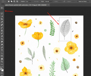Floral Pattern Trends in 2020: PNG, Vector, Vintage, Wallpapers
