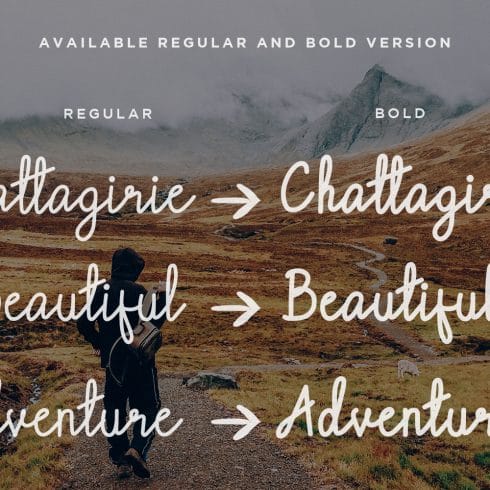 4 Premium & Beautiful Script Fonts - 3$ | Master Bundles