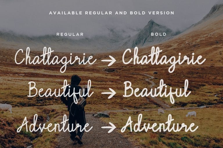 4 Premium & Beautiful Script Fonts - 3$ – MasterBundles