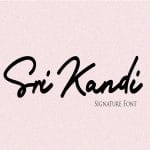 Modern Signature Fonts Bundle - 15 Items - $10 – MasterBundles
