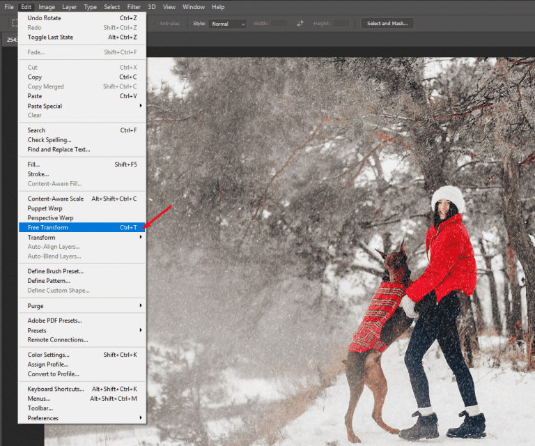 100 Best Winter Backgrounds 2021: Prepare Your Designs for the Winter ...