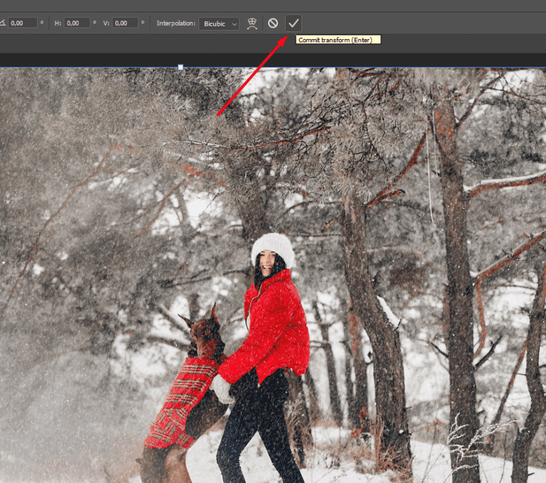 100 Best Winter Backgrounds 2021: Prepare Your Designs for the Winter ...