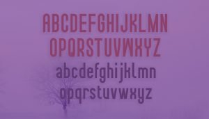 Sexy Fonts | 20+ Best Sexy Fonts in 2021. Guide on How to Choose a Font