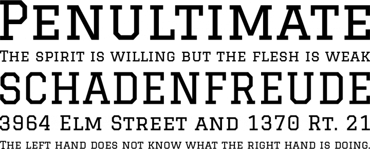 25+ Best Number Fonts in 2021 - Master Bundles