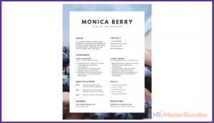 44+ Best Computer Science Resume Templates: Free and Premium - | [MB]