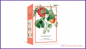 Postcrossing. Best Postcards for Postcrossing | MasterBundles