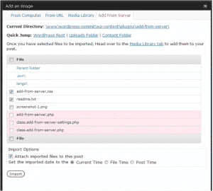 HTTP Error WordPress Upload Image: Why Does It Happen and How to Fix it? – MasterBundles