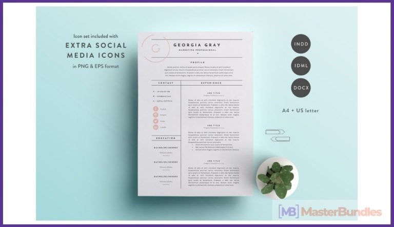 50+ Best Chronological Resume Templates in 2020: Free and Premium