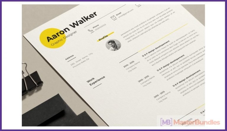 50+ Best Chronological Resume Templates in 2020: Free and Premium