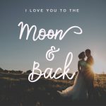 Sandwell Curly Script Font – MasterBundles