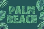 Best Summer & Beach Fonts 2021 - 65+ Best Beach Fonts: Free and Premium ...