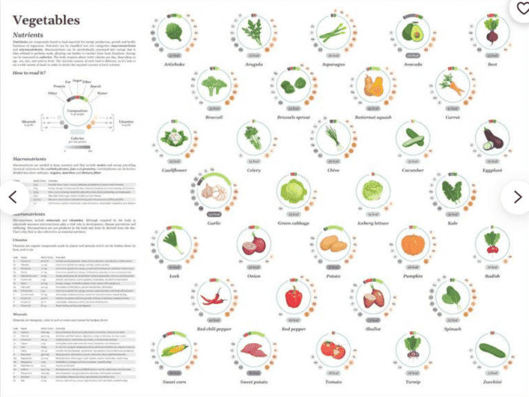 Infographic Templates