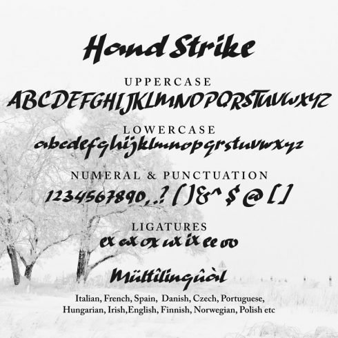 Hand Strike Handwritten Pen Font | Master Bundles