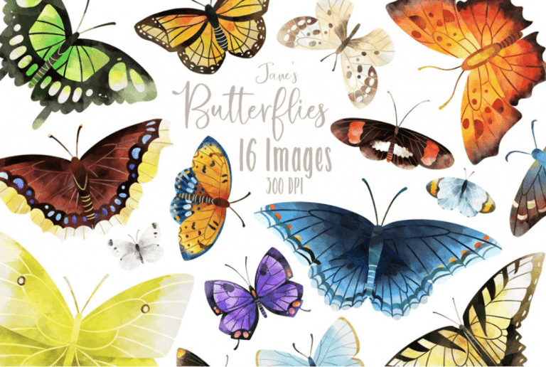 Best Butterfly Clipart 2021: What and Where to Search for? – MasterBundles