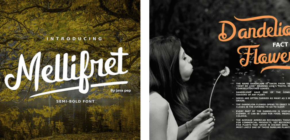 Girly Fonts | 95+ Best Girly Fonts 2021: Free, Premium & Bundles ...