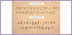 Best 25 Sharp Fonts for a Successful Brand Building 2021 - Master Bundles