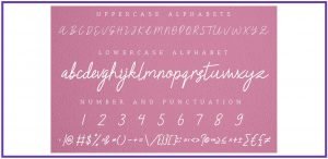 Best 25 Sharp Fonts for a Successful Brand Building 2021 - Master Bundles