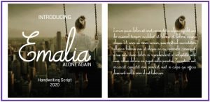 Best 25 Sharp Fonts for a Successful Brand Building 2021 - Master Bundles