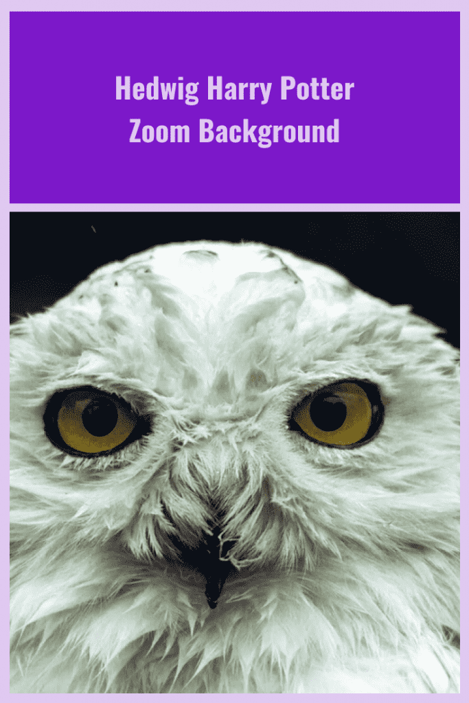 🏞 45+ Best Zoom Virtual Background In 2021: Images And Video. Make Your ...