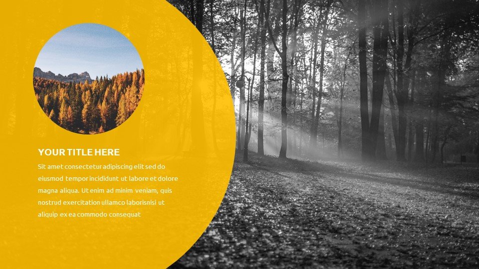 Free Fall Powerpoint Background Worship (PPTX) - Autumn