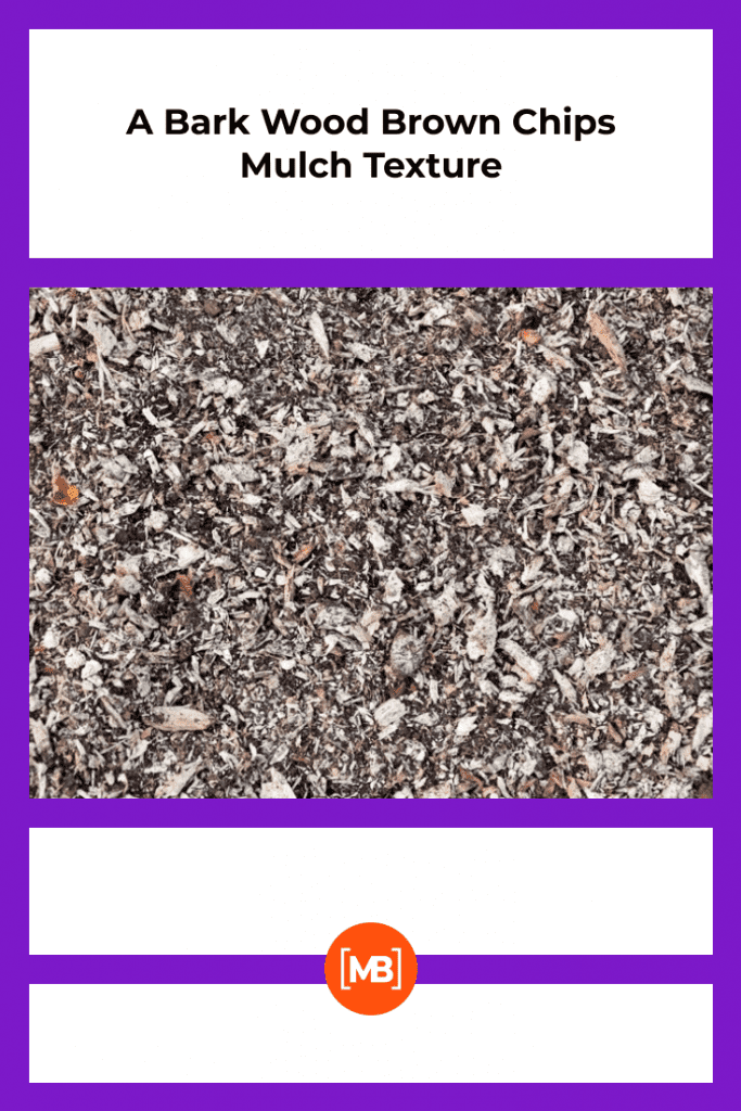 15+ Best Mulch Textures in 2021: Free and Premium Textures