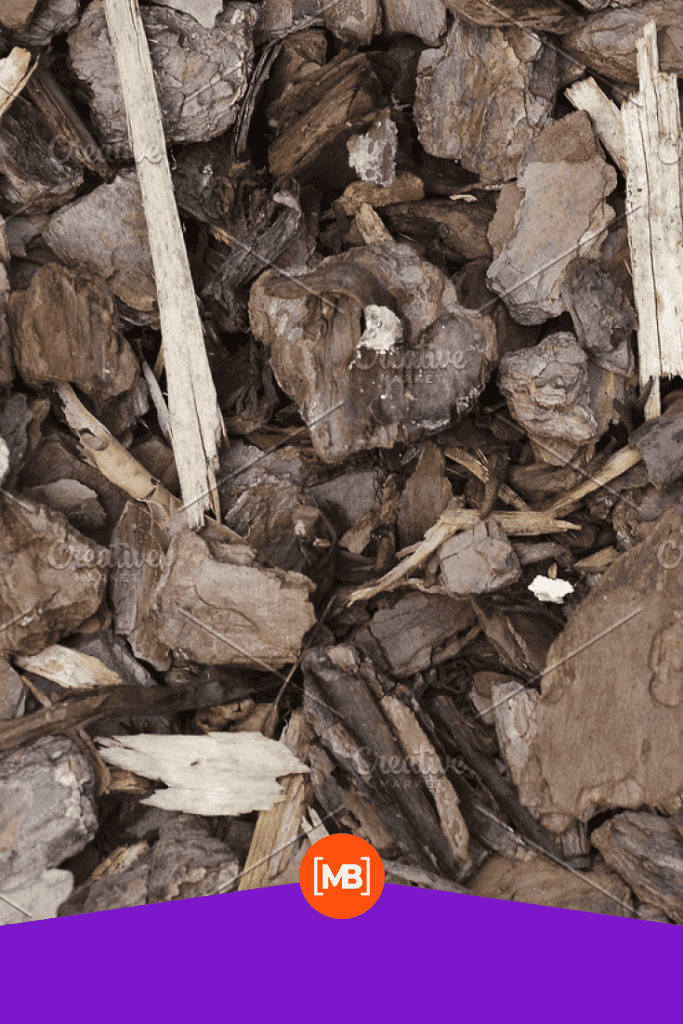 15+ Best Mulch Textures in 2021: Free and Premium Textures