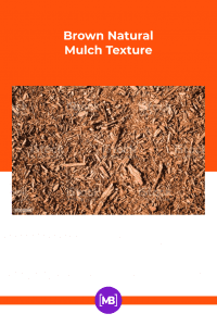 15+ Best Mulch Textures in 2021: Free and Premium Textures