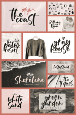 Best Tropical Font 2021 - 50+ Tropical Fonts: Free and Premium 🌴 - [MB ...