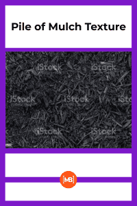 15+ Best Mulch Textures in 2021: Free and Premium Textures