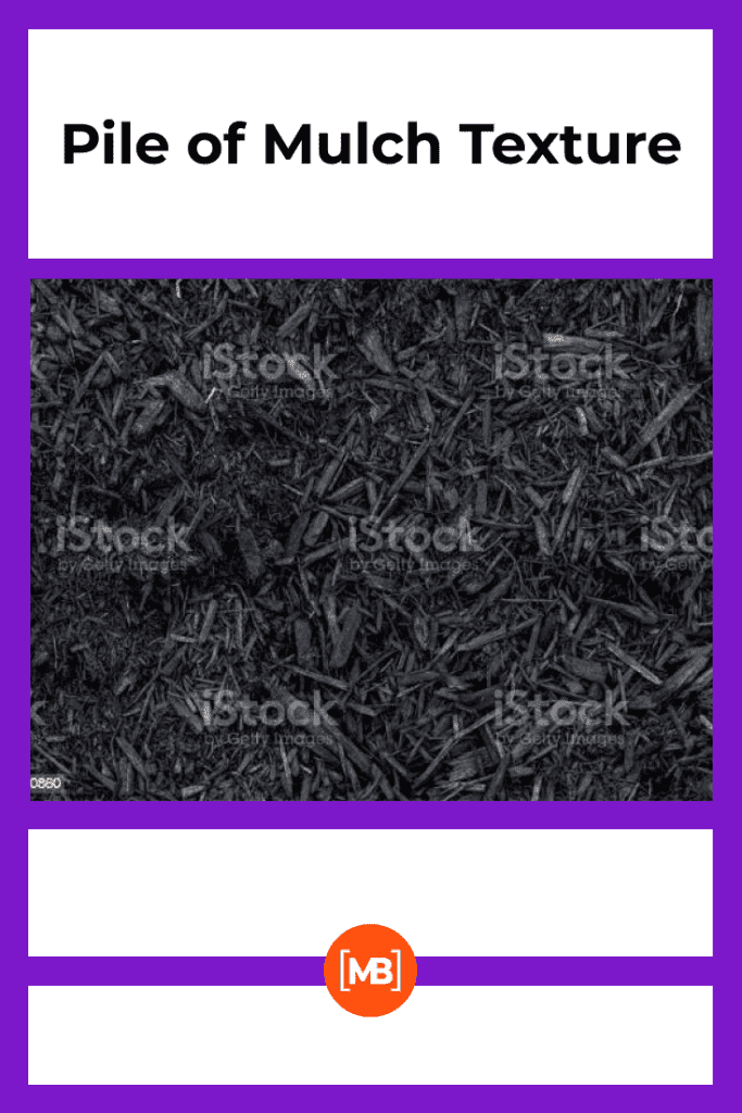 15+ Best Mulch Textures in 2021: Free and Premium Textures