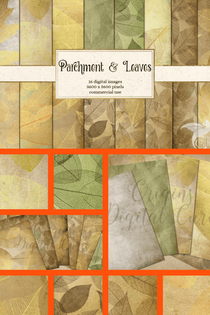 15+ Best Parchment Textures in 2021: Free and Premium Textures