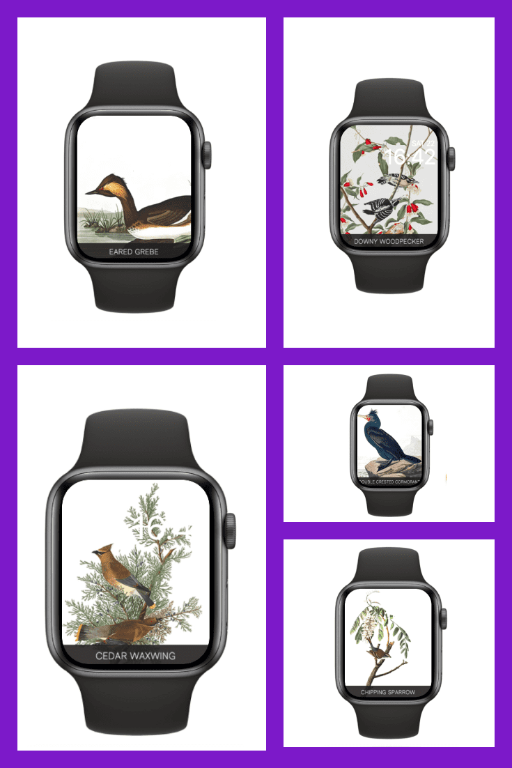 35+ Best Apple Watch Faces in 2021: Free and Premium Products