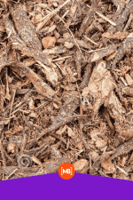 15+ Best Mulch Textures in 2021: Free and Premium Textures