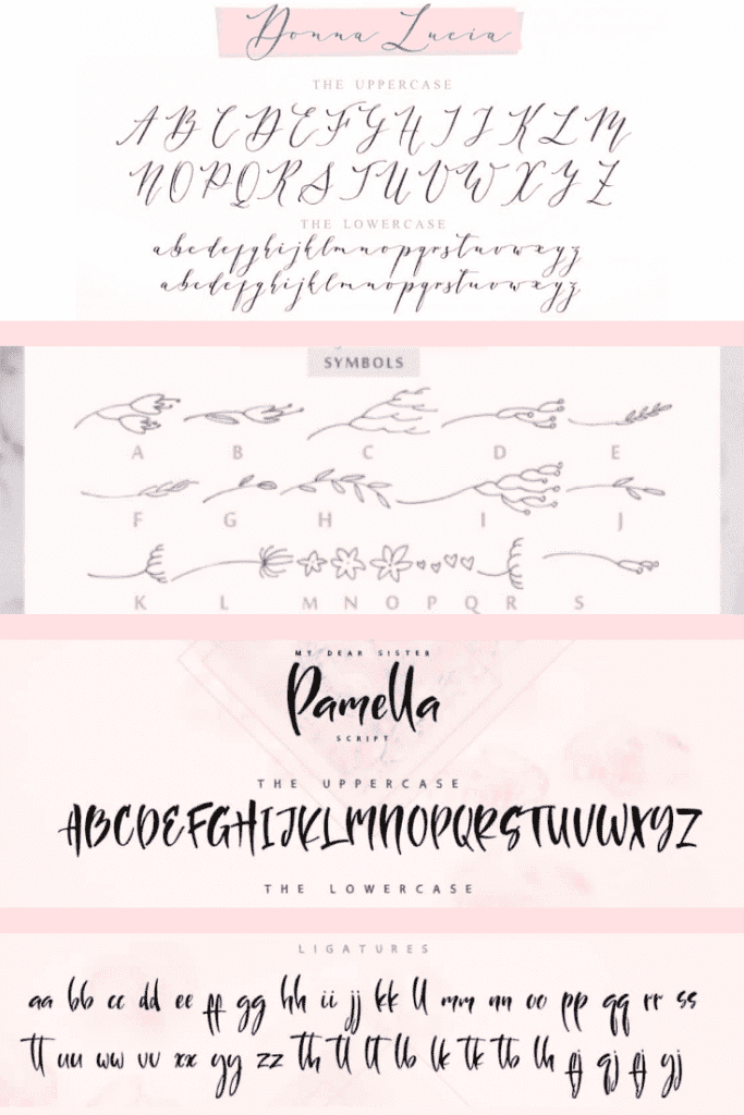 50+ Best Free Tropical Fonts for 2023 - MasterBundles