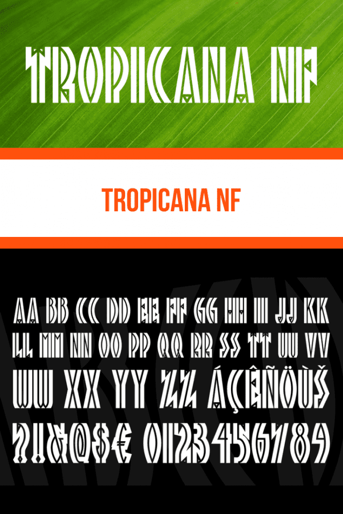 Best Tropical Font 2021 - 50+ Tropical Fonts: Free and Premium 🌴 - [MB ...
