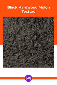 15+ Best Mulch Textures in 2021: Free and Premium Textures
