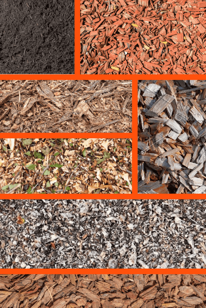 15+ Best Mulch Textures in 2021: Free and Premium Textures