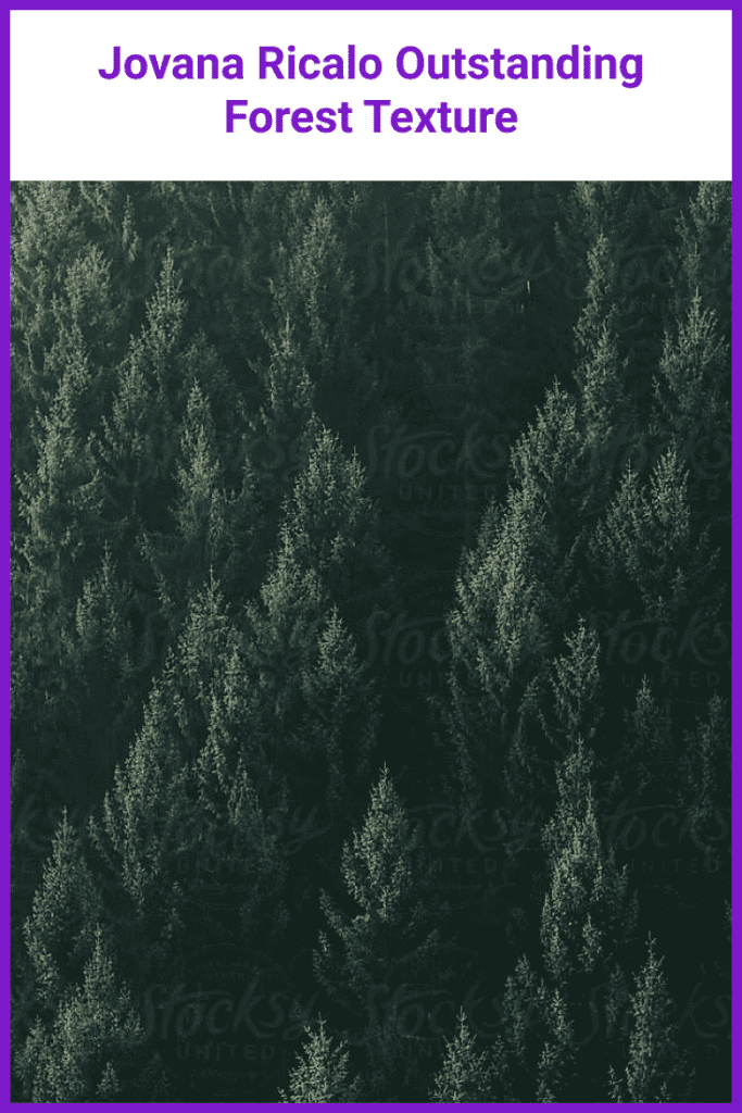 10+ Best Forest Texture Images: Free and Premium - Master Bundles