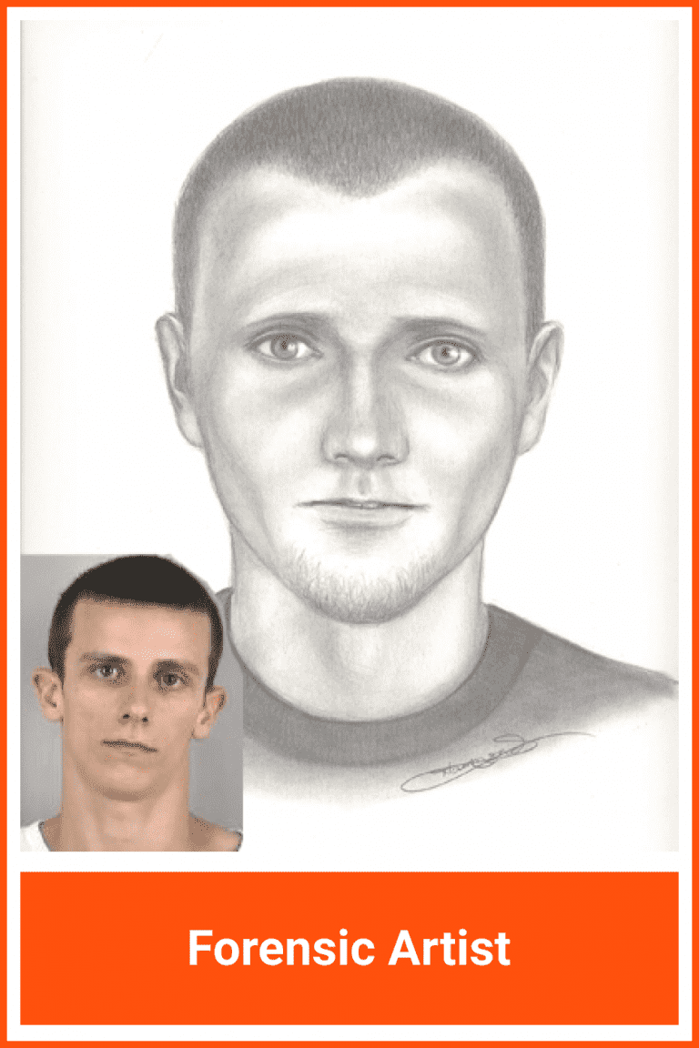 How to Become an Illustrator: Skills, Courses, Jobs.