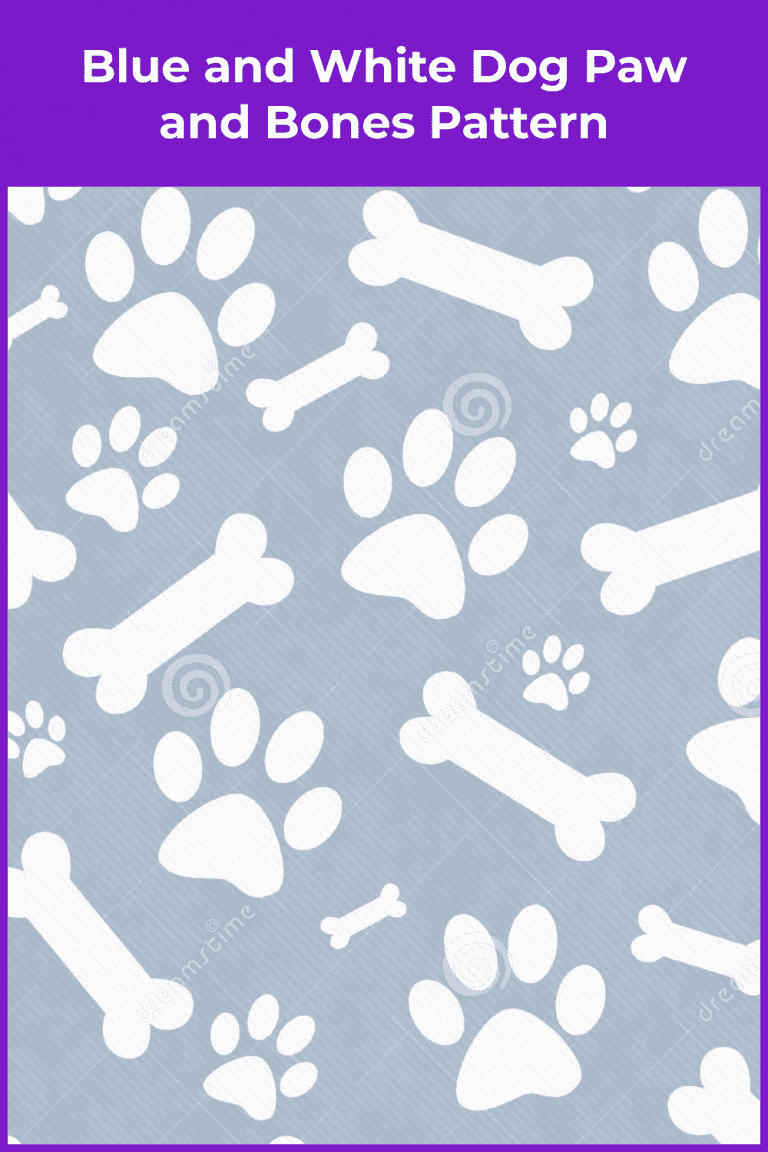 25+ Best Paw Pattern Images for 2021: Free and Premium