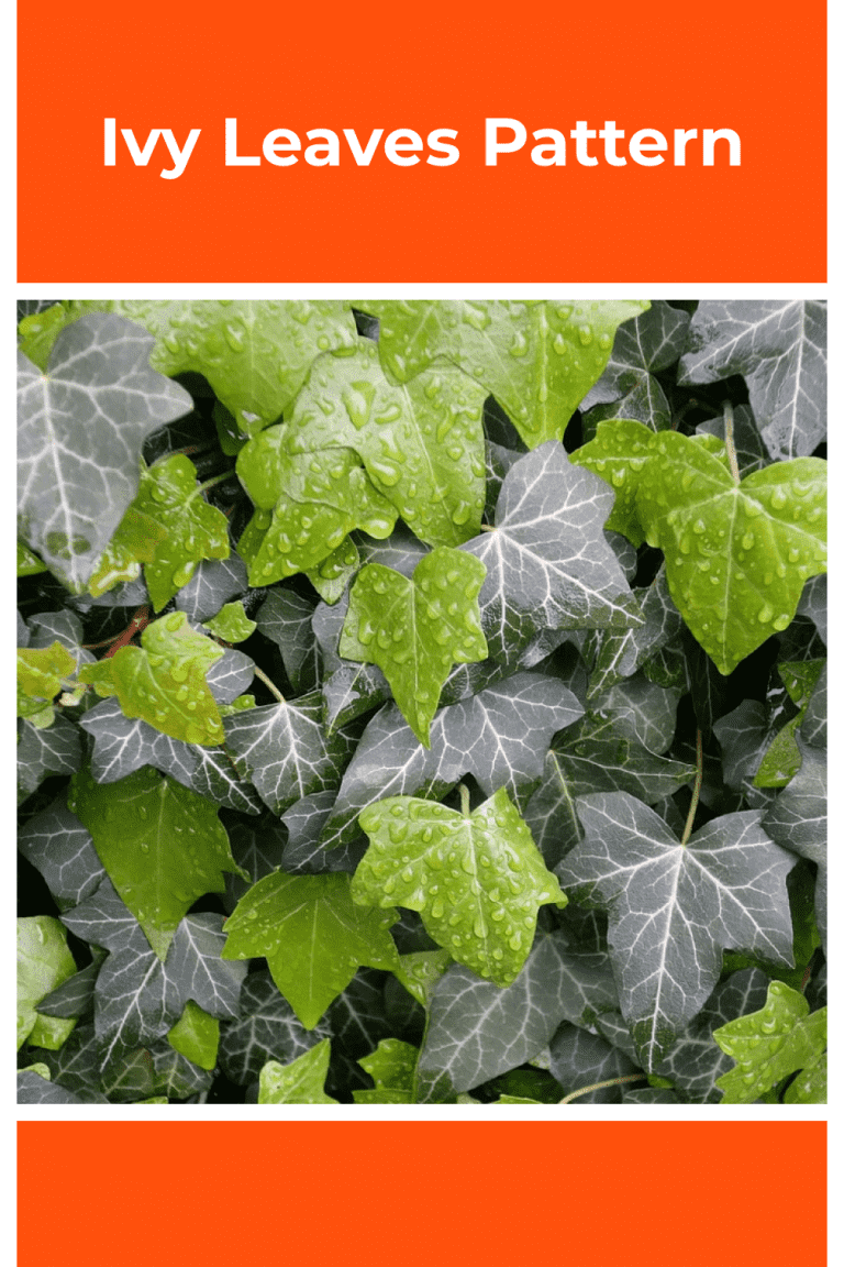 25+ Best Ivy Patterns Images in 2021 —MasterBundles