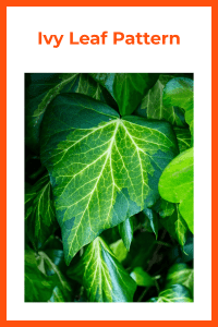 25+ Best Ivy Patterns Images in 2021 —MasterBundles