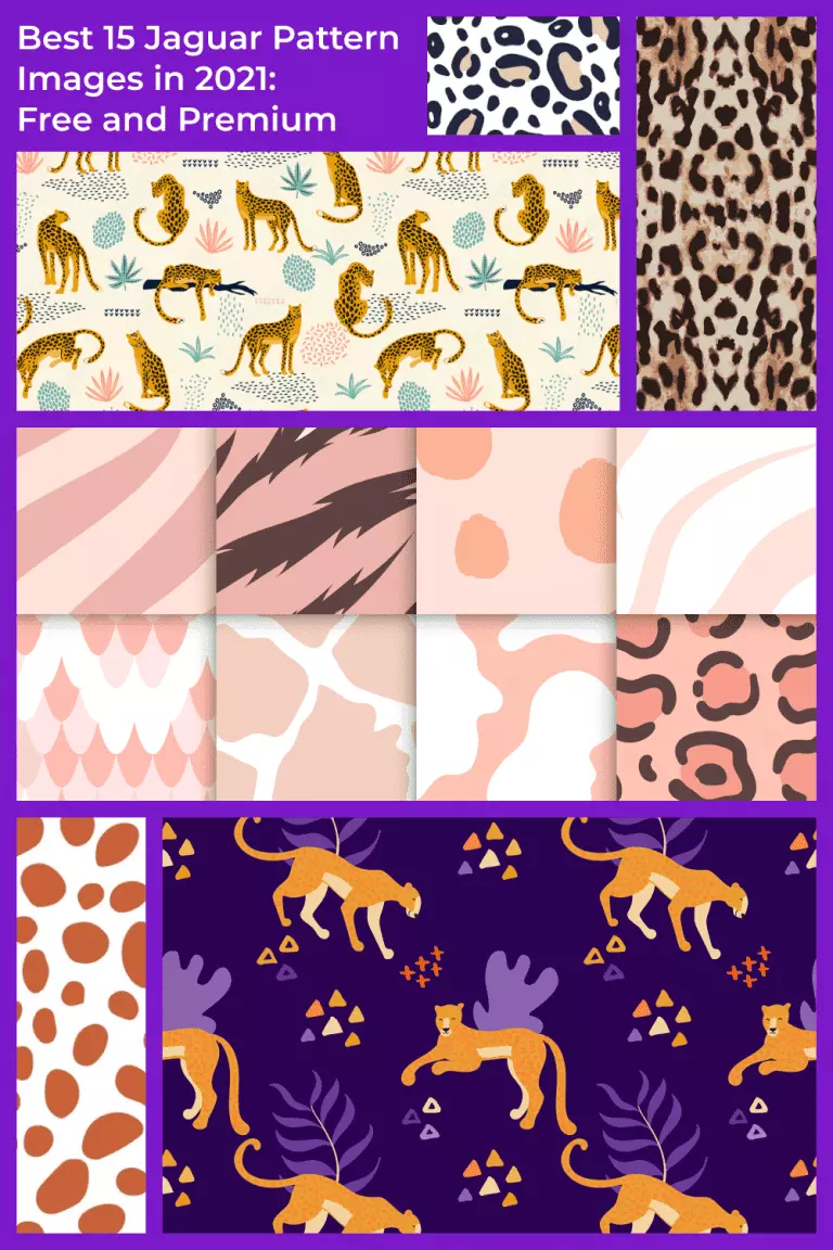 15 Best Jaguar Pattern Images for 2021: Free and Premium