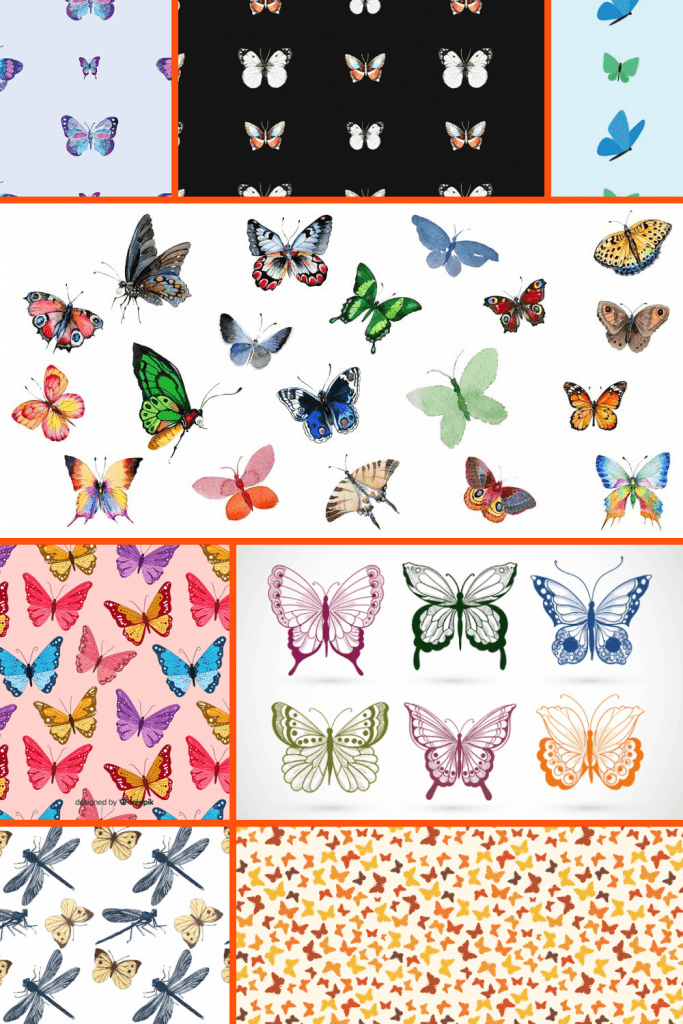 10+ Best Butterfly Pattern Images in 2021: Free and Premium